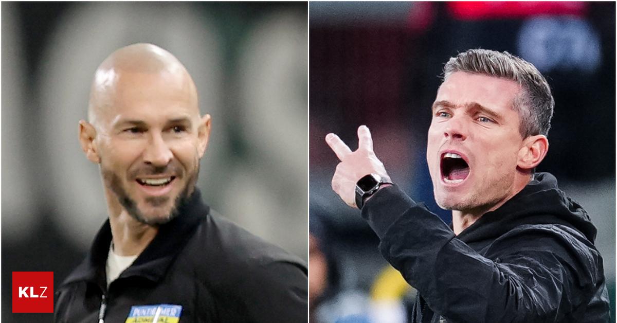 Zahlen vor Sturm - Rapid: Kopf-an-Kopf-Rennen bei den Mitgliedern